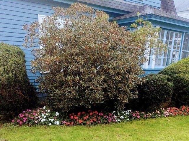 house with 4 bedroom, Worcester MA DS103248646