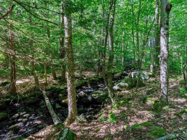 house with 4 bedroom, Brookline NH ES105159960