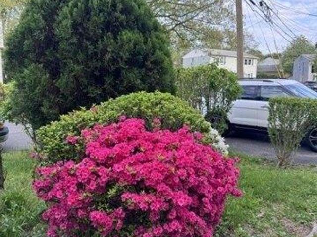 house with 4 bedroom, Bridgeport CT DLS102776919