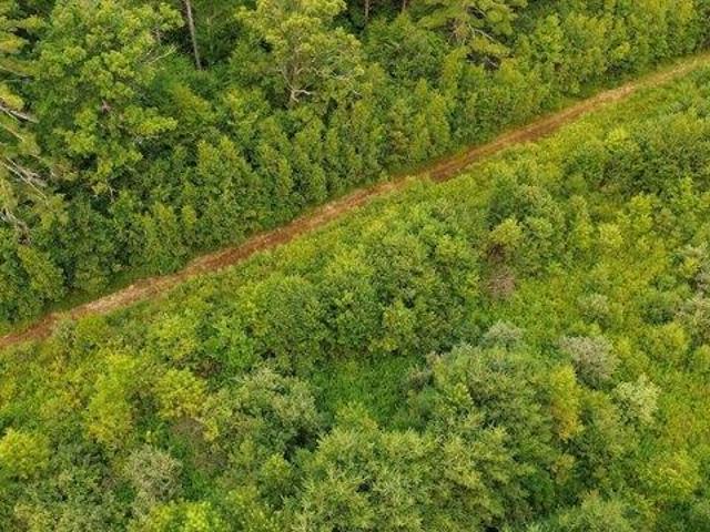 house with 4 bedroom, Farmington NH ES105106366