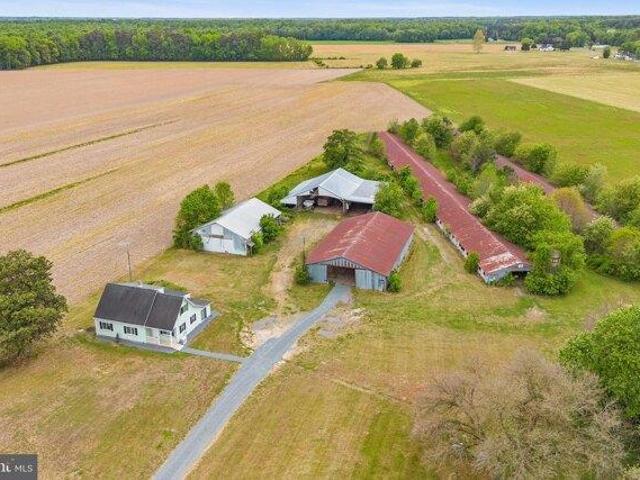 house with 4 bedroom, Federalsburg MD DS103603487