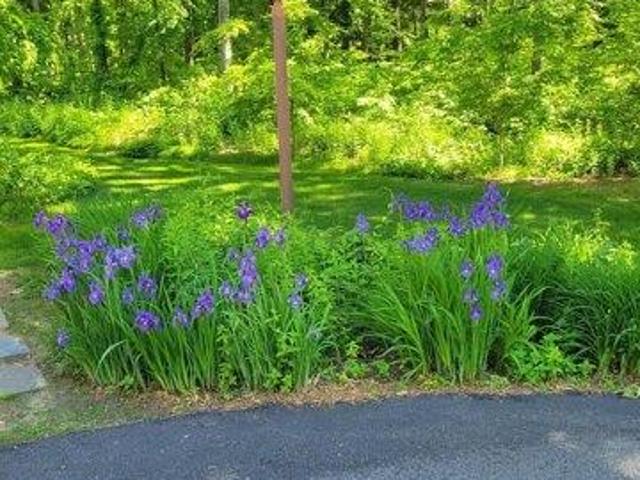 house with 4 bedroom, Hooksett NH DS103128012