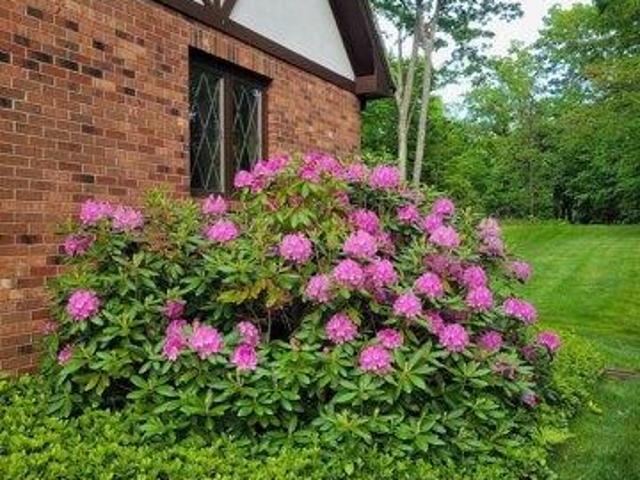 house with 4 bedroom, Hooksett NH ES103185514