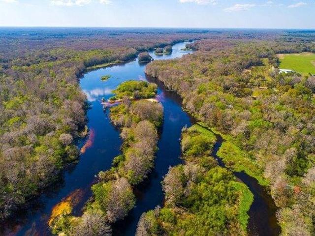 house with 4 bedroom, Lake Panasoffkee FL DS92282887
