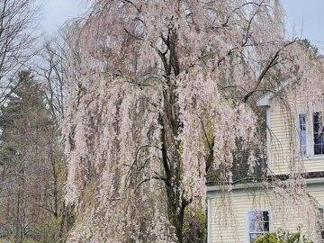house with 4 bedroom, Lenox MA ES103220630