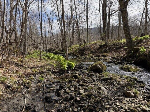 house with 4 bedroom, Lincoln VT DS102726382