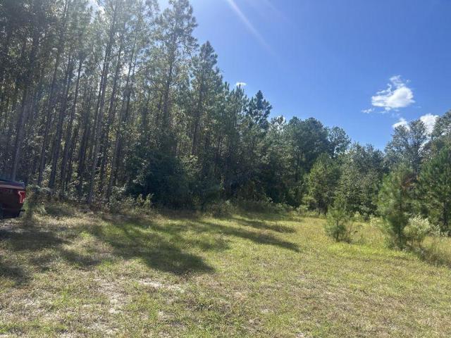 house with 4 bedroom, Live Oak FL DS100973609