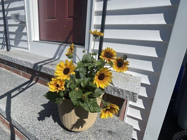 house with 4 bedroom, Milford MA DS102476756