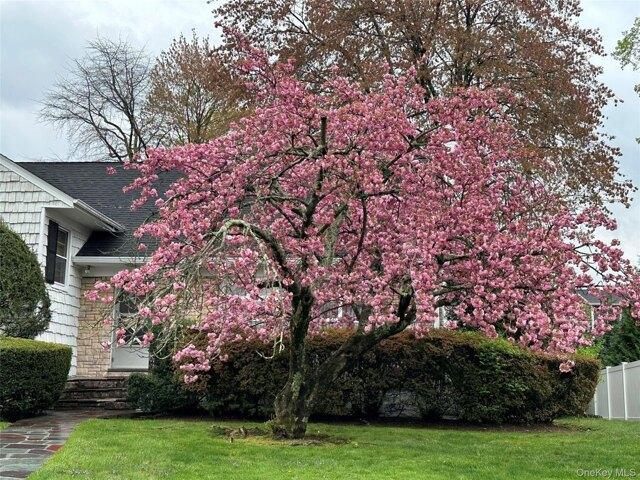 house with 4 bedroom, New Rochelle NY DS101801621