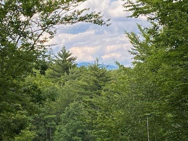 house with 4 bedroom, Newbury NH DS103885464