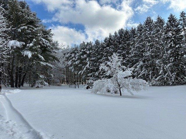 house with 4 bedroom, Palmer MA DS102859597