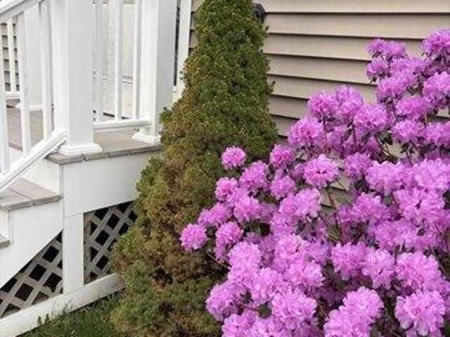 house with 4 bedroom, Quincy MA ES104899401
