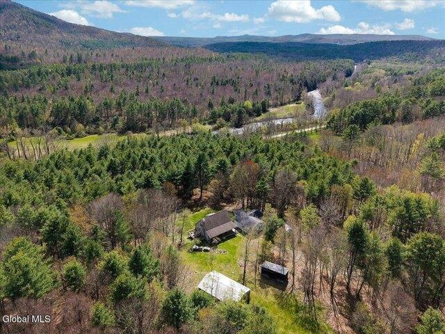 house with 4 bedroom, Shushan NY DS103621478