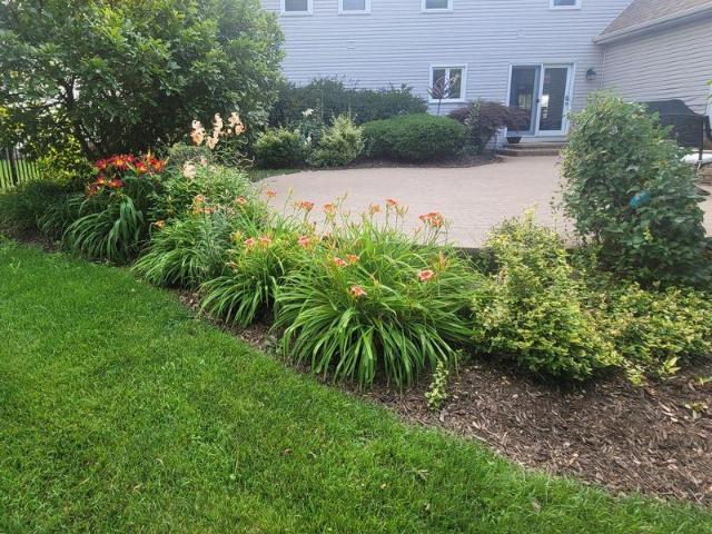 house with 4 bedroom, South Elgin IL DS100973199