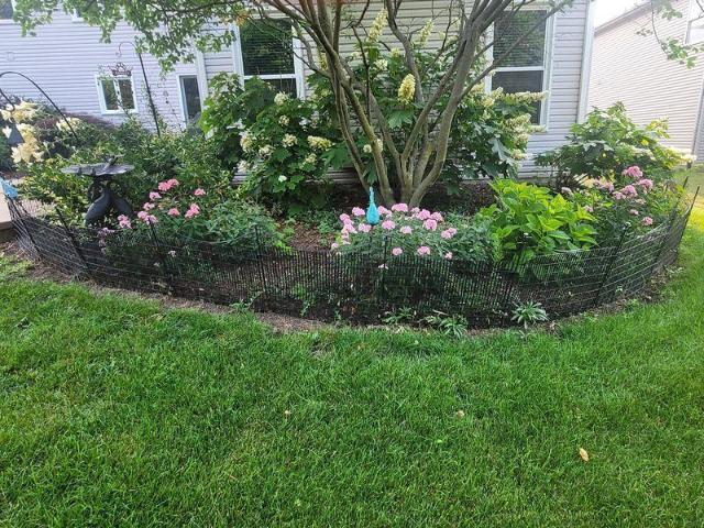 house with 4 bedroom, South Elgin IL ES100973199