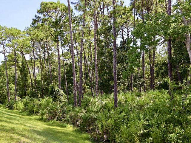 house with 4 bedroom, St. Augustine FL DLS100973362
