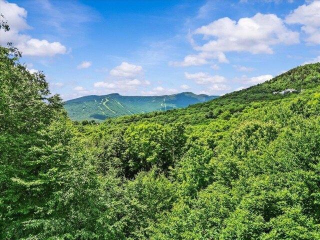 house with 4 bedroom, Stowe VT DS104330742