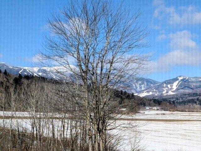 house with 4 bedroom, Stowe VT ES104262644