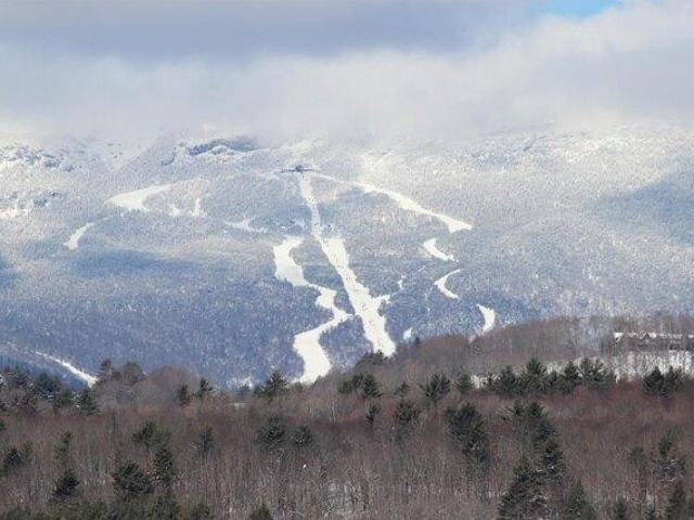 house with 4 bedroom, Stowe VT ES105105190