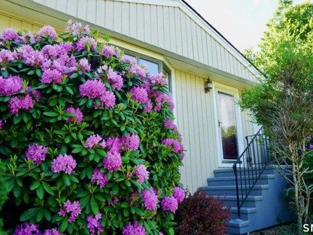house with 5 bedroom, Trumbull CT DS102798564