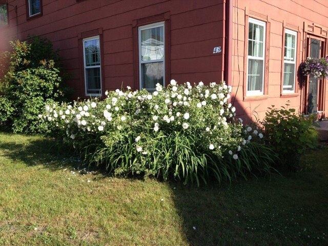 house with 5 bedroom, Barre MA ES103887993