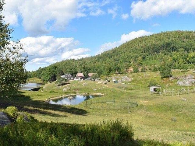 house with 5 bedroom, Bradford NH ES103848339