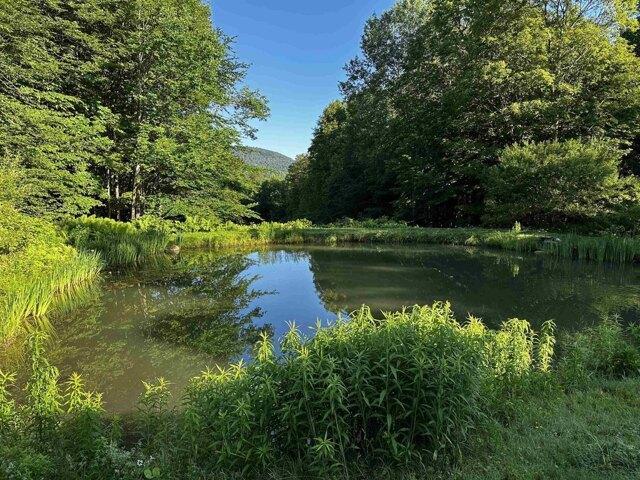 house with 5 bedroom, Dorset VT DLS101858801