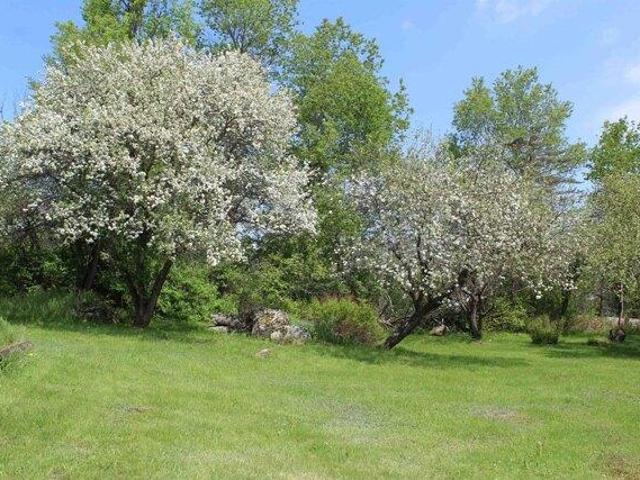house with 5 bedroom, Lancaster NH ES105093246
