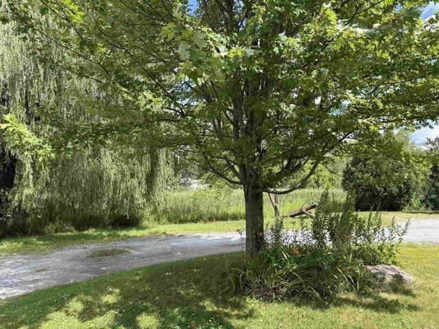 house with 5 bedroom, Middlebury VT ES104481881