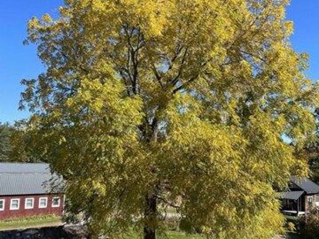 house with 7 bedroom, Newfane VT ES103432194