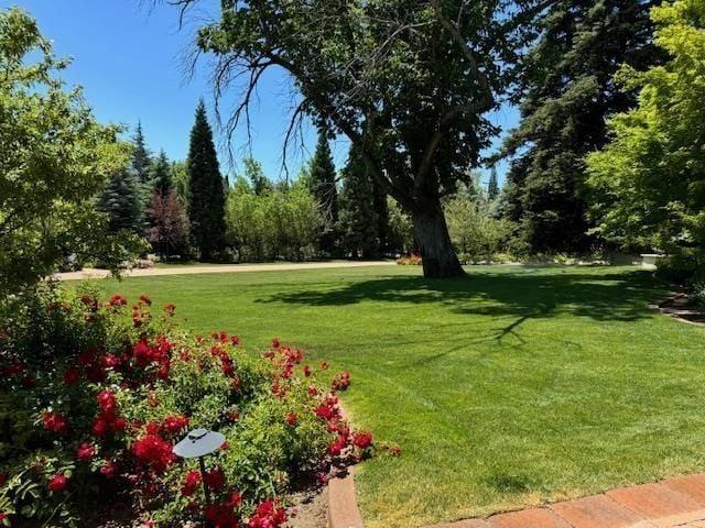 house with 7 bedroom, NV NV DLS98217514