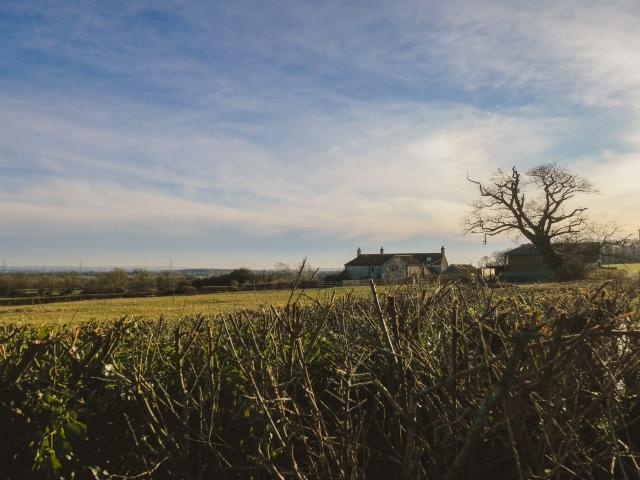 House at Tockington Park Lane, Olveston