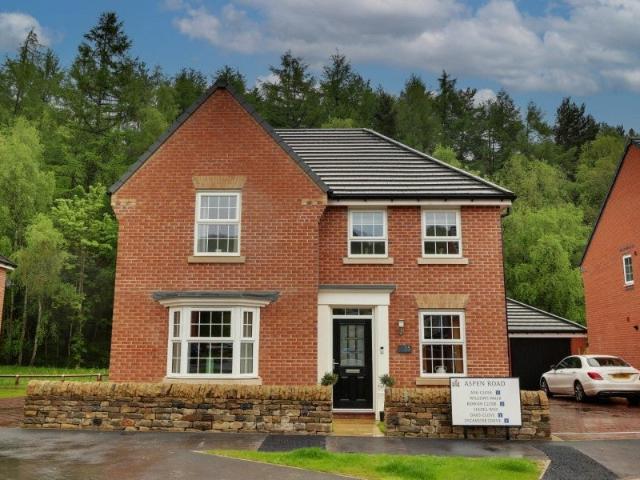 House at Aspen Road, Sheffield