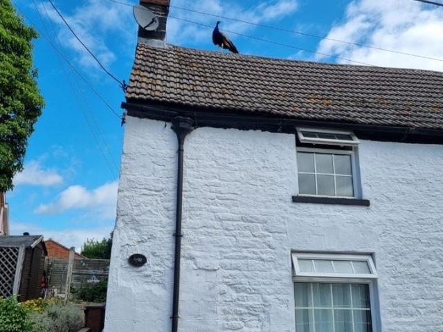 House at Beck Side, Hibaldstow