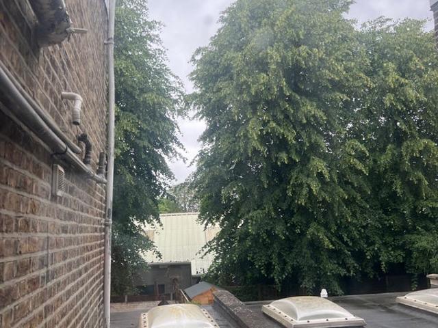 House at Disraeli Road, Greater London