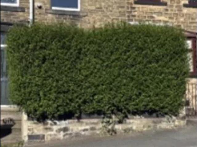 House at Fleminghouse Lane, Kirklees