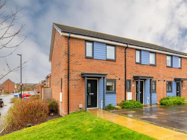 House at Roseden Way, Newcastle upon Tyne
