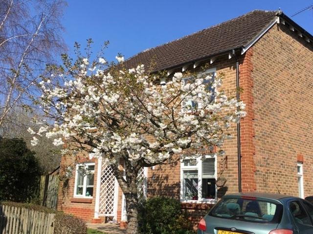 House at Rowfant Close, Crawley