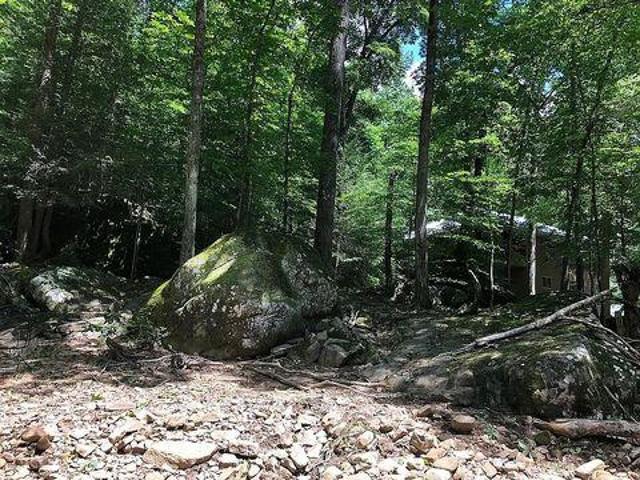house Dunlap TN ES105189072