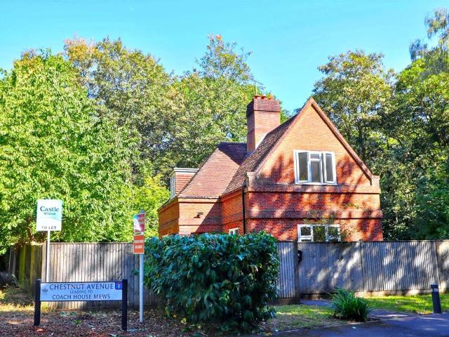 house for rent