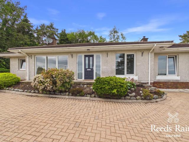 house for rent in 105 Lisbane Road, Saintfield, Ballynahinch, BT24 7BT