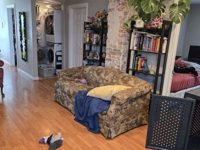 House Roommate Needed