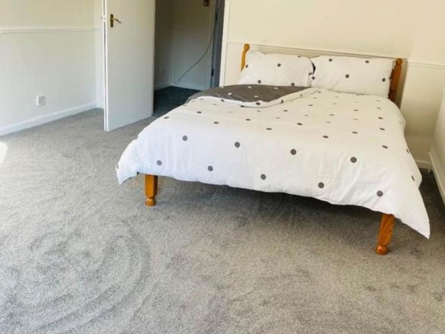 House share to rent