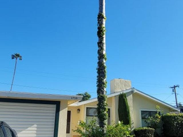 Housemate wanted! Orange, CA