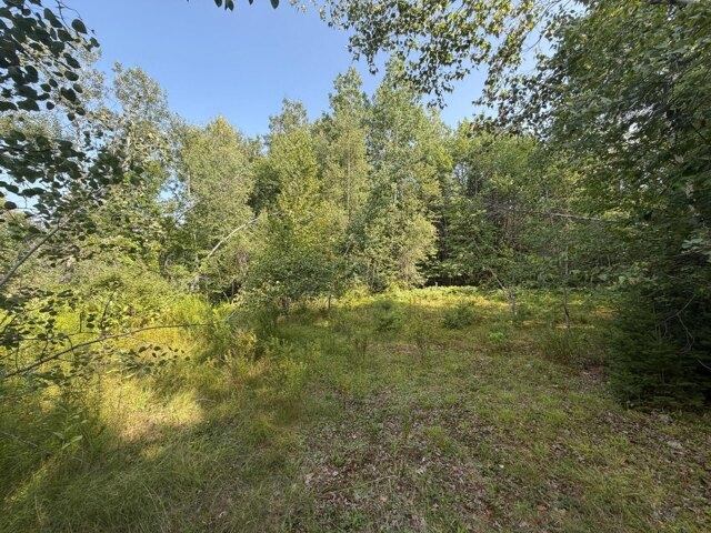 Hovey Rd, Milo, Plot For Sale