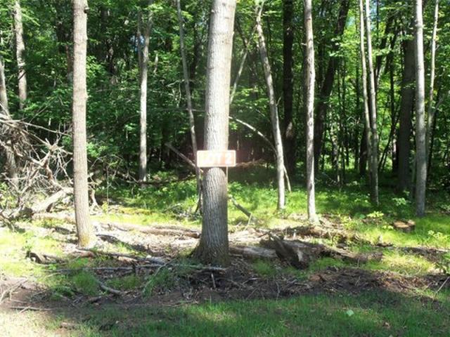 Howard Johnson Trl Lot 2, Siren, WI 54872