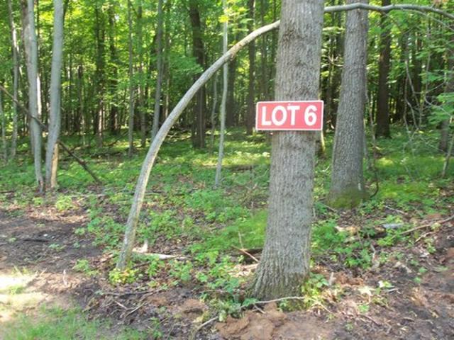 Howard Johnson Trl Lot 6, Siren, WI 54872
