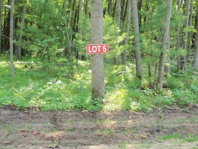Howard Johnson Rd Lot 5, Siren, WI 54872