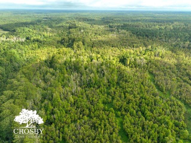 Howells Mill Rd, Bamberg, SC 29003