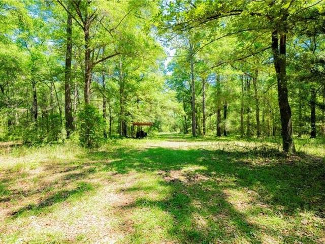 Howells Ferry Rd, Wilmer, AL 36587